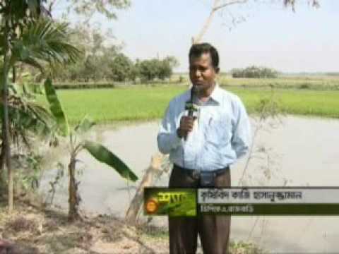 FoSHoL Integrated Farming in Bangladesh - YouTube