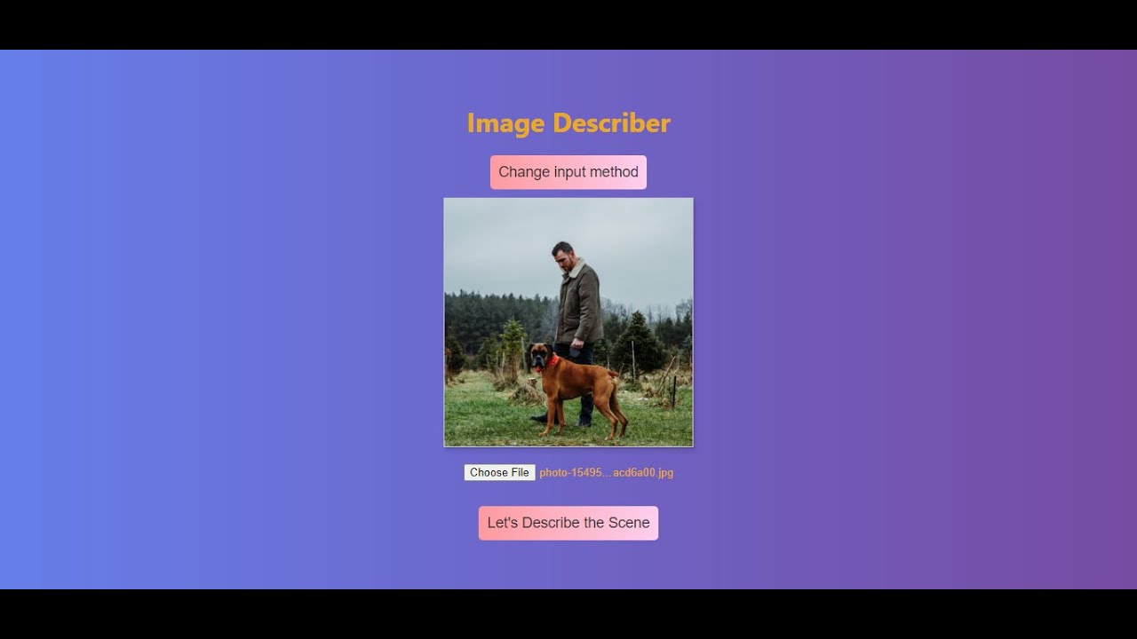 Image Describer - Image Caption Generator Using ReactJS and DeepAI ...