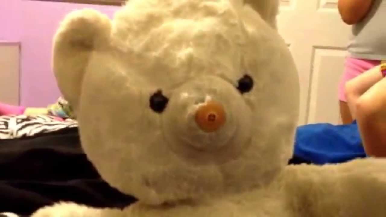 Bear - YouTube