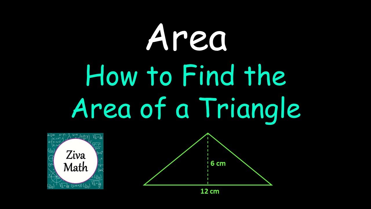 How to Find the Area of a Triangle | Area - YouTube