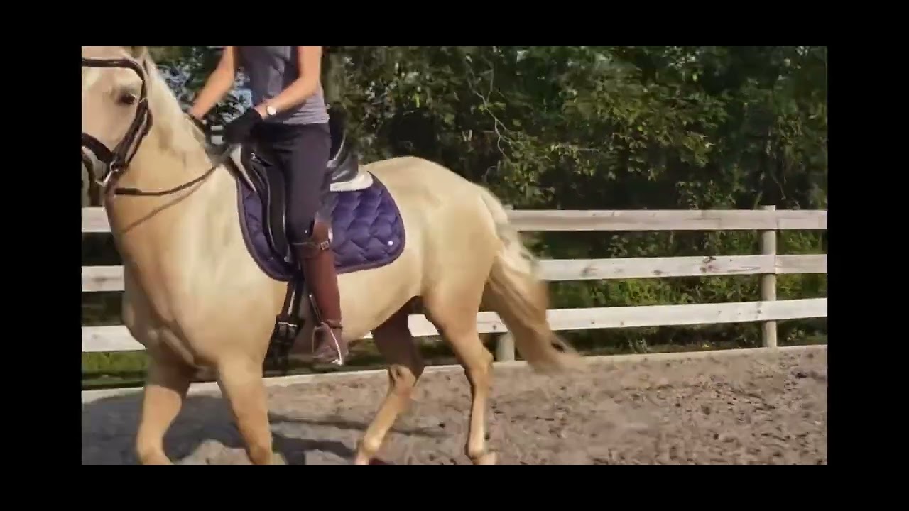 Maple - jumping - YouTube