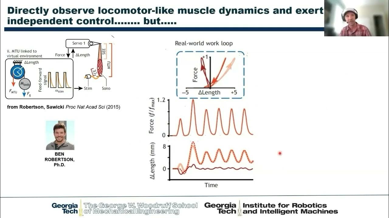 IMSI Workshop on Joint Level Work Loops - YouTube