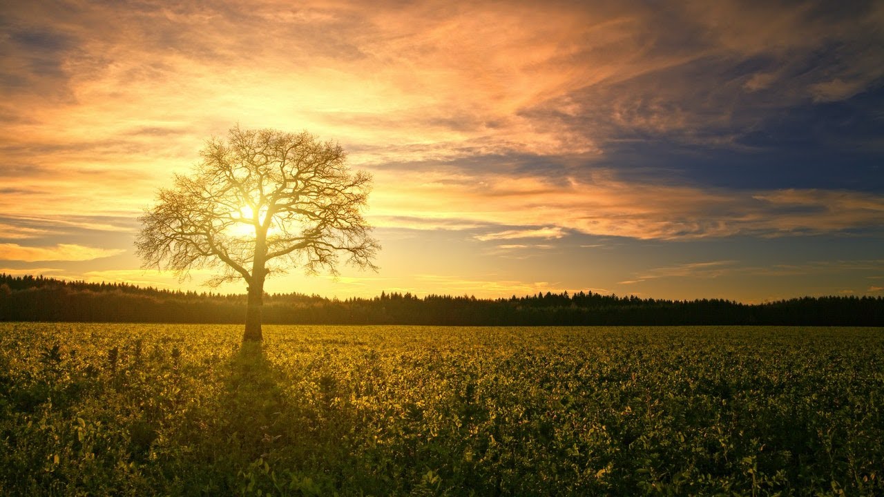 Countryside Landscapes, soothing scenic videos to reduce stress, calm ...