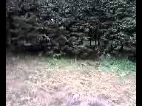 Laberinto del ajusco - YouTube