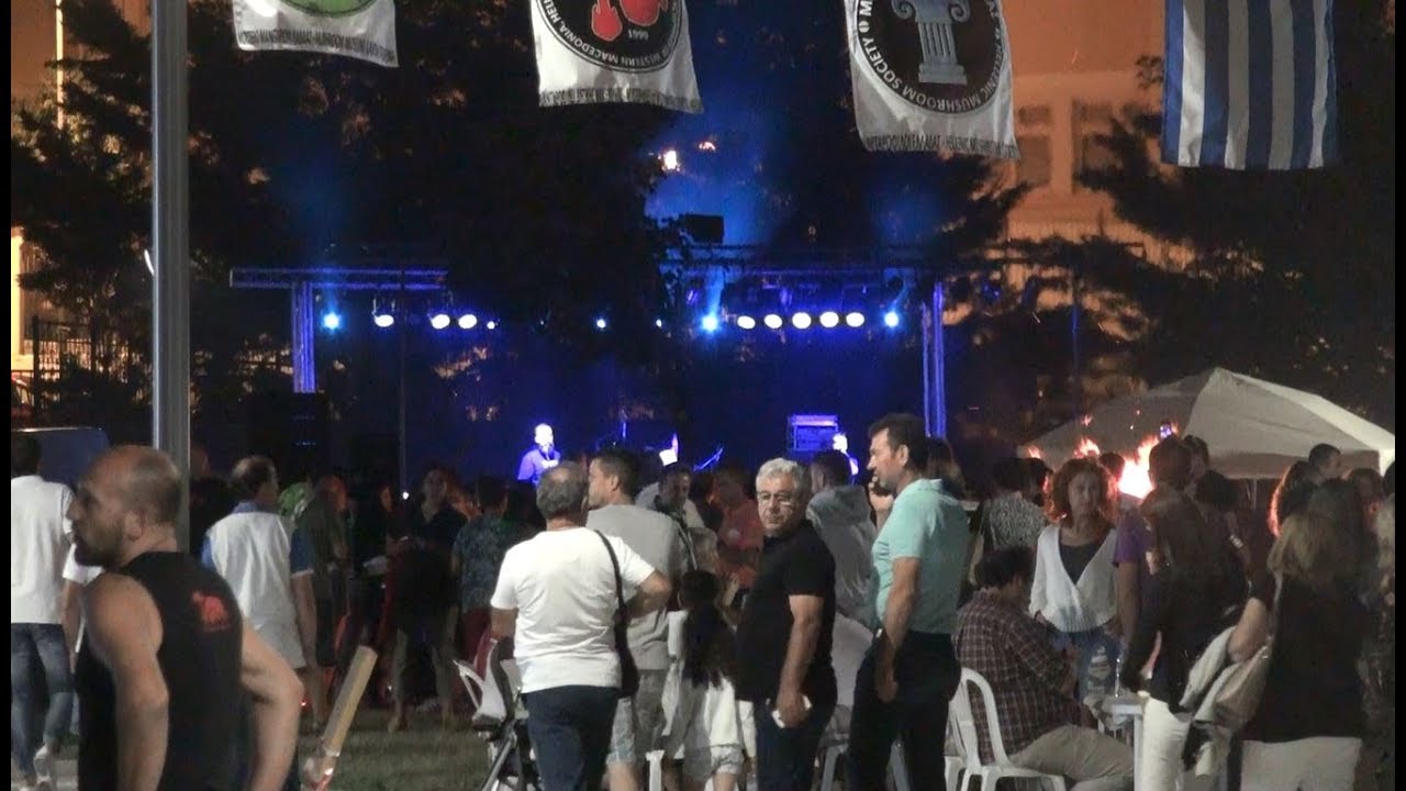 14η Πανελλήνια Γιορτή Μανιταριού Γρεβενά μέρα 1η - YouTube