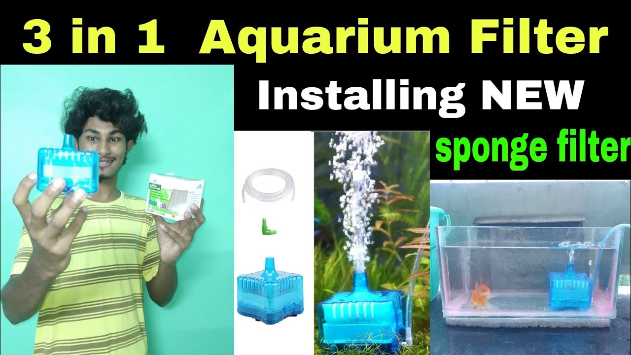 How to install Sponge filters & Air pump in Aquarium Filter Cartridge ...