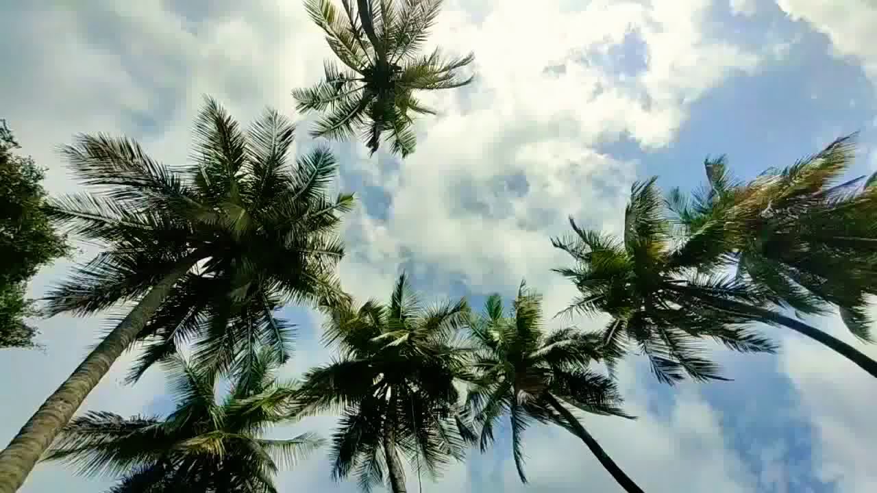 October 14, 2019 - YouTube
