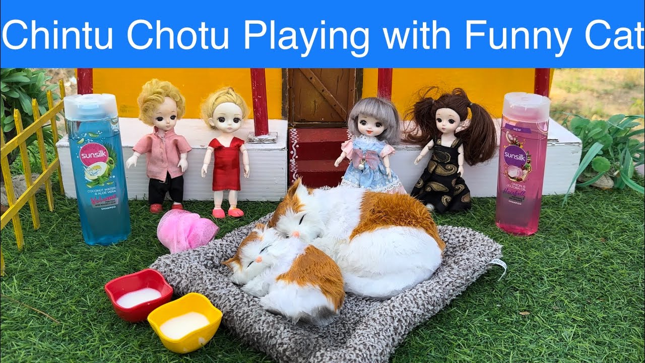 Chintu Chotu Playing with Funny Cat - YouTube