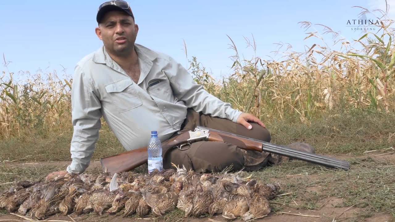 AthinaSporting.Com : Romanian Quail Hunting - YouTube
