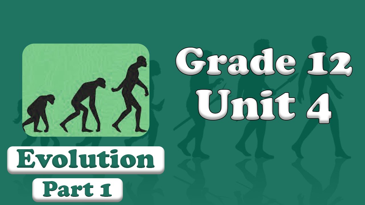 Grade 12 Biology Unit 4 Evolution Part 1 | By Mr. Ebisa Geleta - YouTube