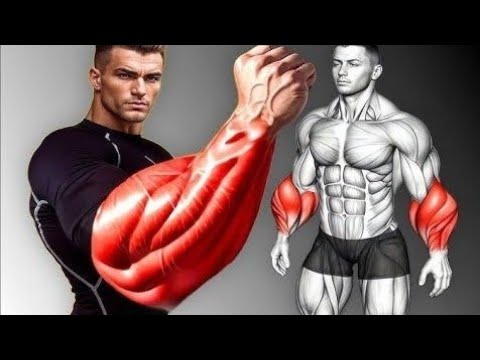 5 Super Massive Forearms Growth Exercises 🔥 Forearms Workout - YouTube