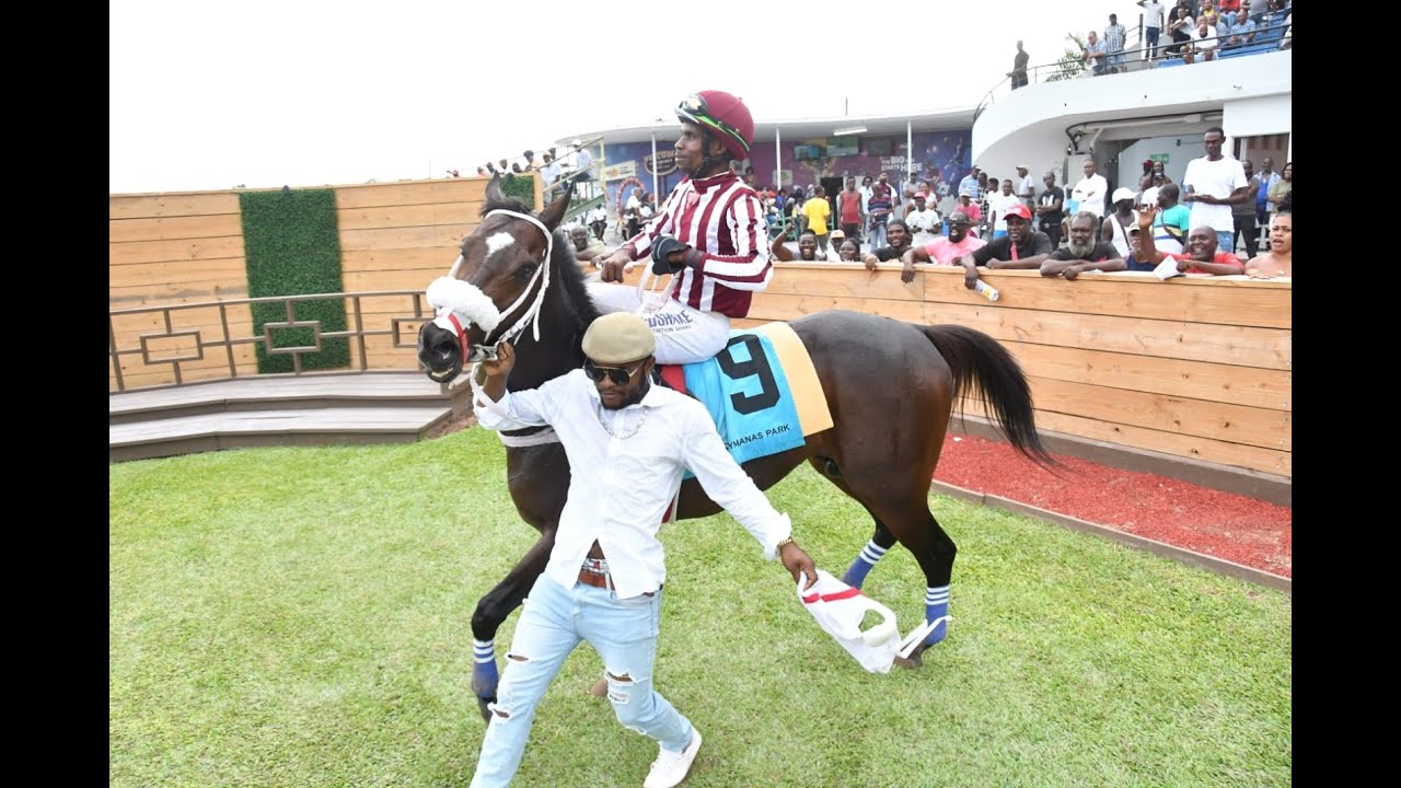 JAMAICA RACING: Posing Already Completes 4-Timer For Tevin Foster, Sat ...