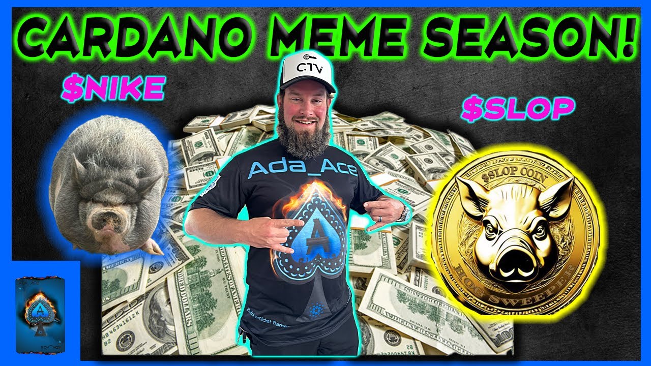 Cardano MEME Season!!!! - YouTube
