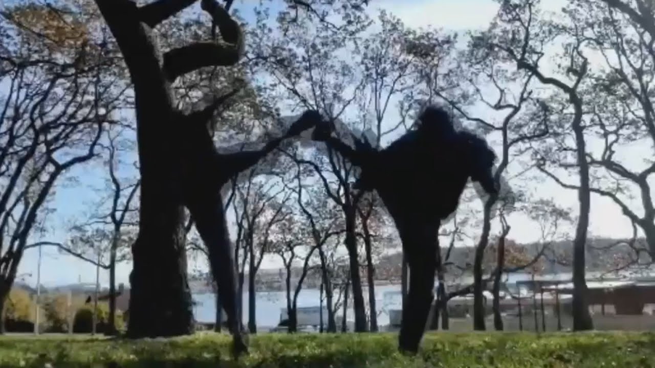 Jungle Park Martial Arts Fight Scene - YouTube