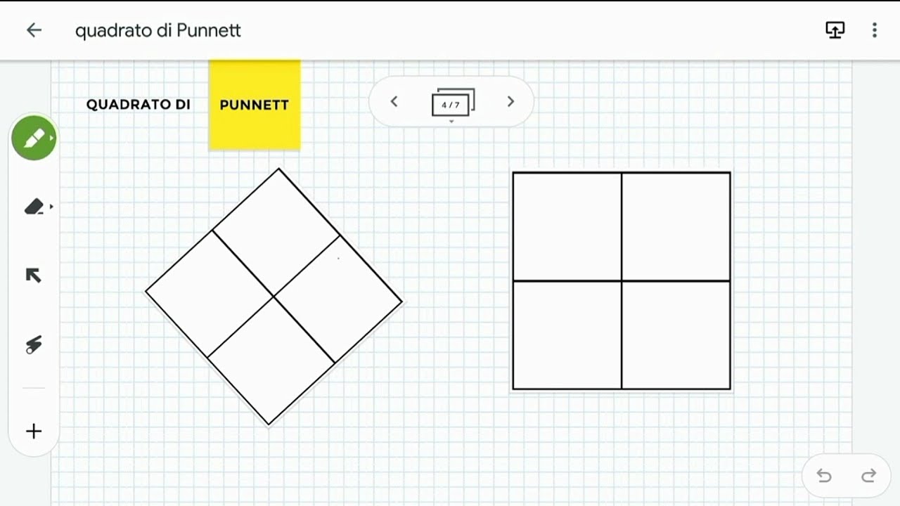 il quadrato di PUNNETT - YouTube