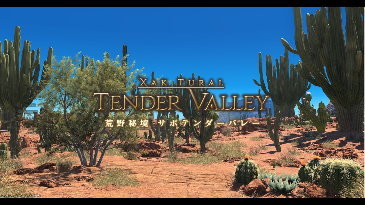 【FF14】 荒野秘境 サボテンダーバレー ( TENDER VALLEY ) Lv100 ID ② Tank ガンブレイカー視点 (GNB ...