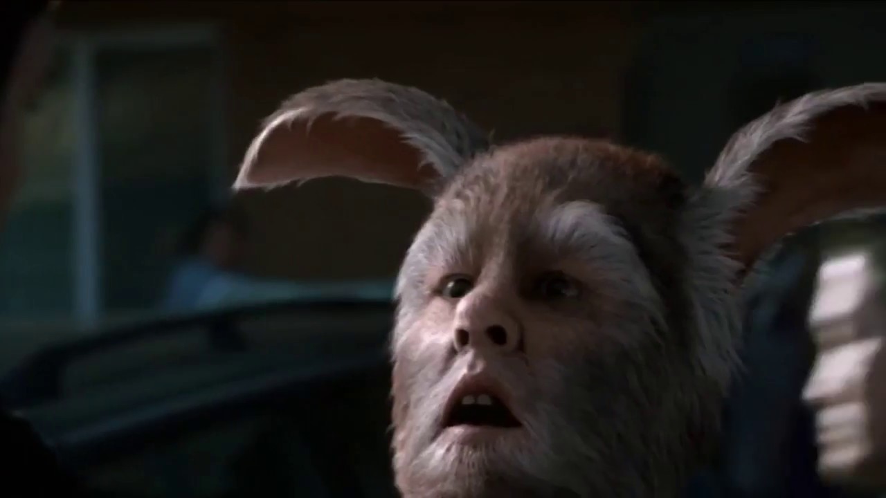 TF Woman into Rabbit - YouTube