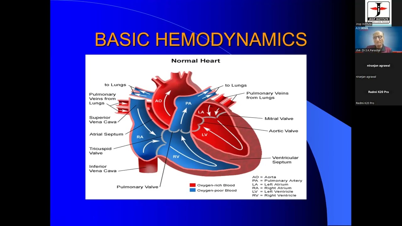 2022 10 01 19 08 29 Principles of Doppler Echocardiography & Color Flow ...