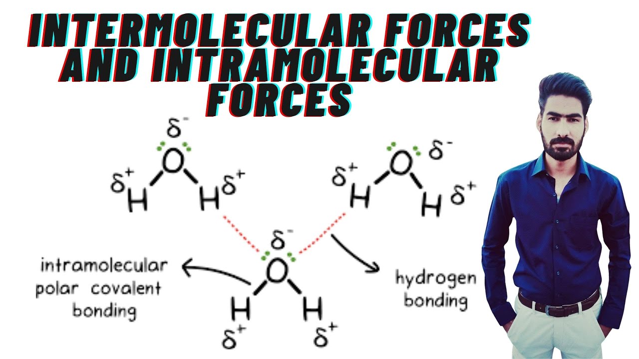 intermolecular forces and intramolecular forces | intermolecular forces ...
