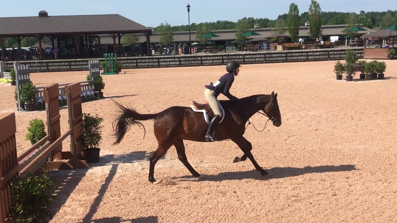 King Creole || Tryon NCHJA childrens medal - YouTube