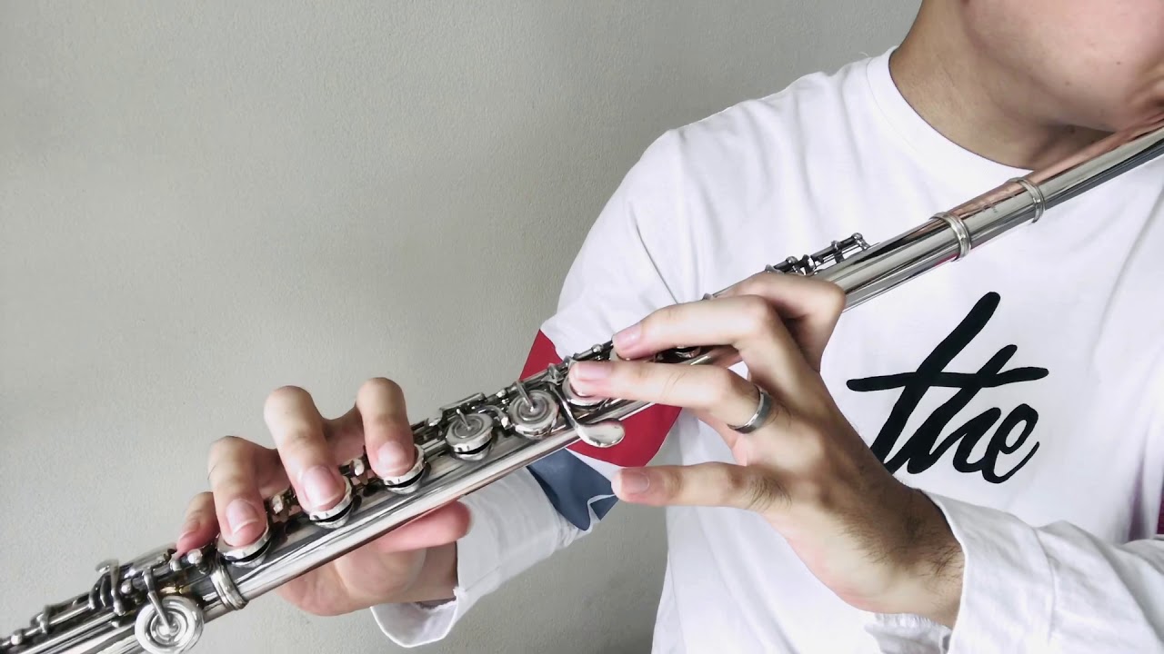 D.O.(디오) - Crying out (Cart OST) [Flute cover] - YouTube