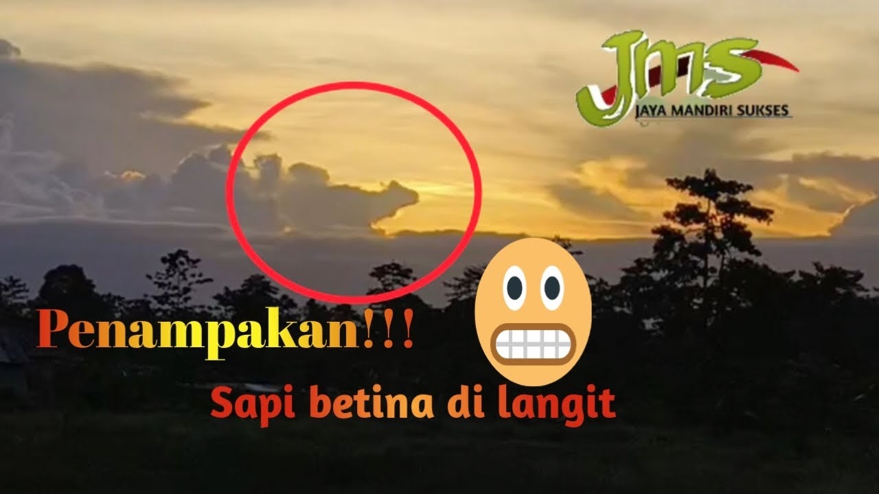 Penampakan!! Sapi Betina Di langit pertanda apa yah?? - YouTube