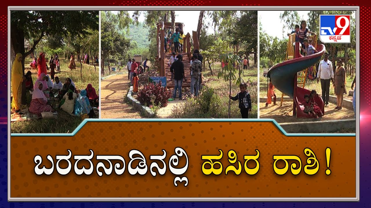 Amazing Saalumarada Thimmakka Tree Park at Gadag - YouTube