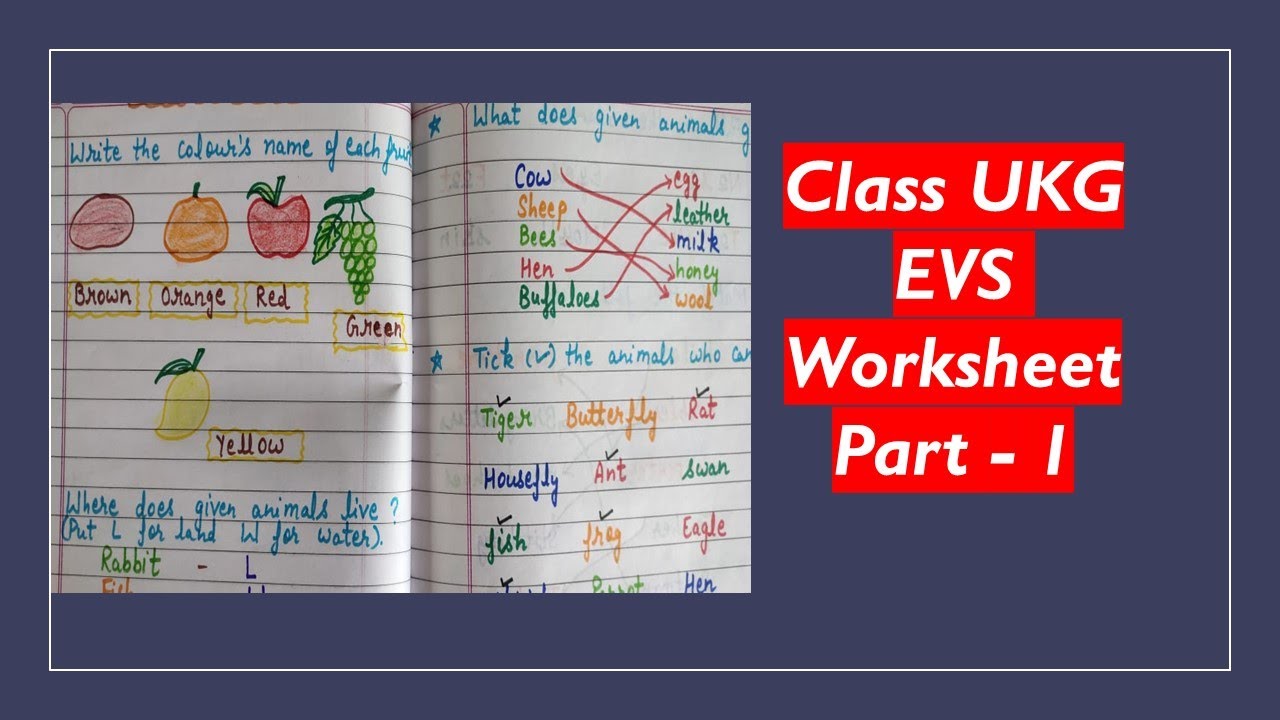 Ukg EVS Worksheet | EVS Worksheet for class UKG - YouTube