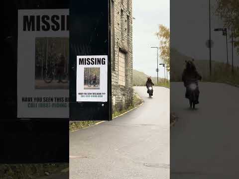 please help us find this bear!!