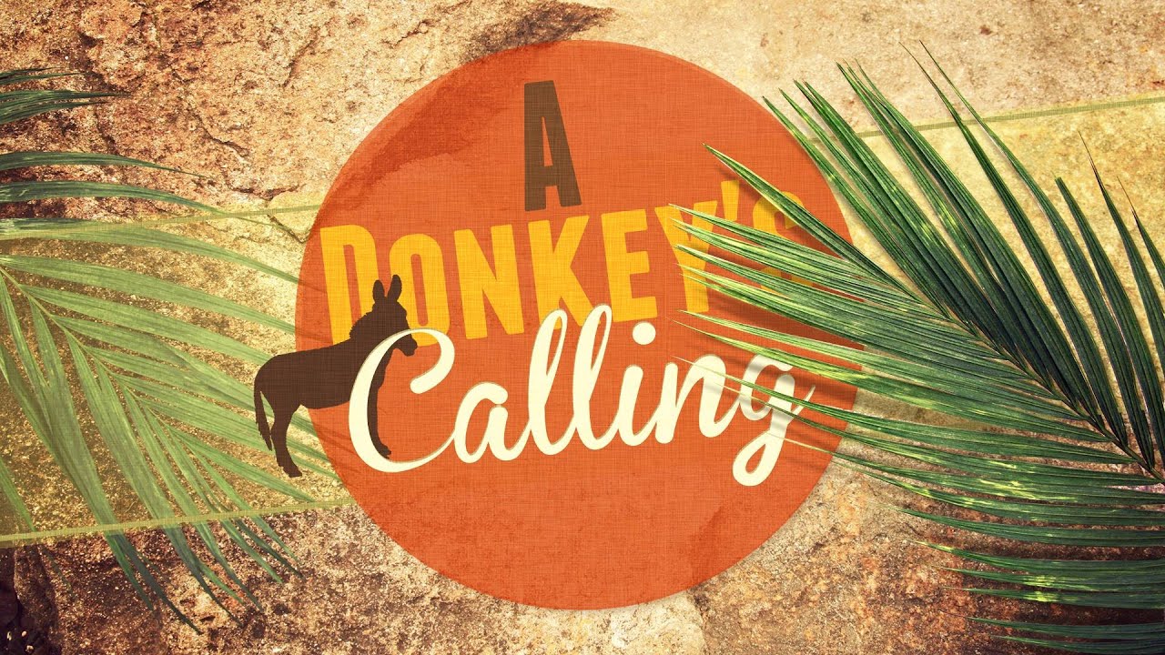 The Donkey's Calling - YouTube