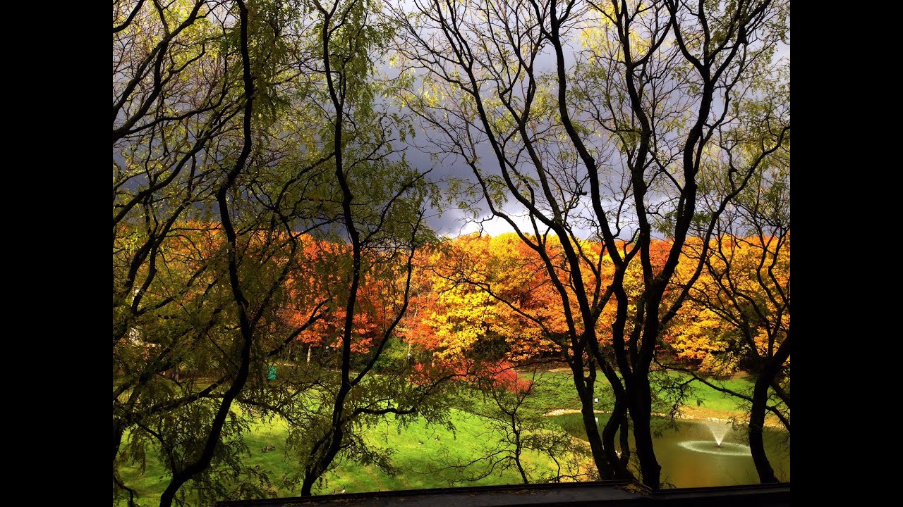 Aerial Ann Arbor Fall Colors - YouTube