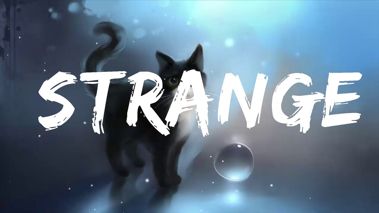 Celeste - Strange (Lyrics) | I am still me you are still you | Lyrics ...