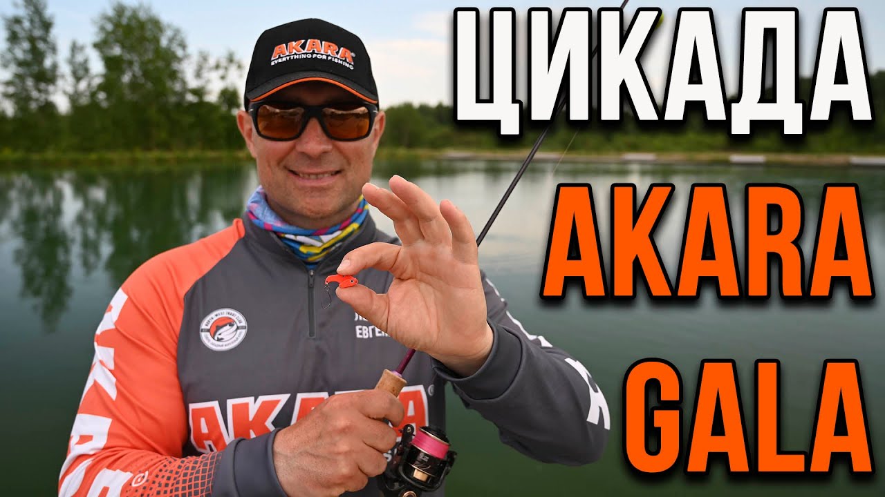 Блесна цикада Akara Trout Time Gala - YouTube