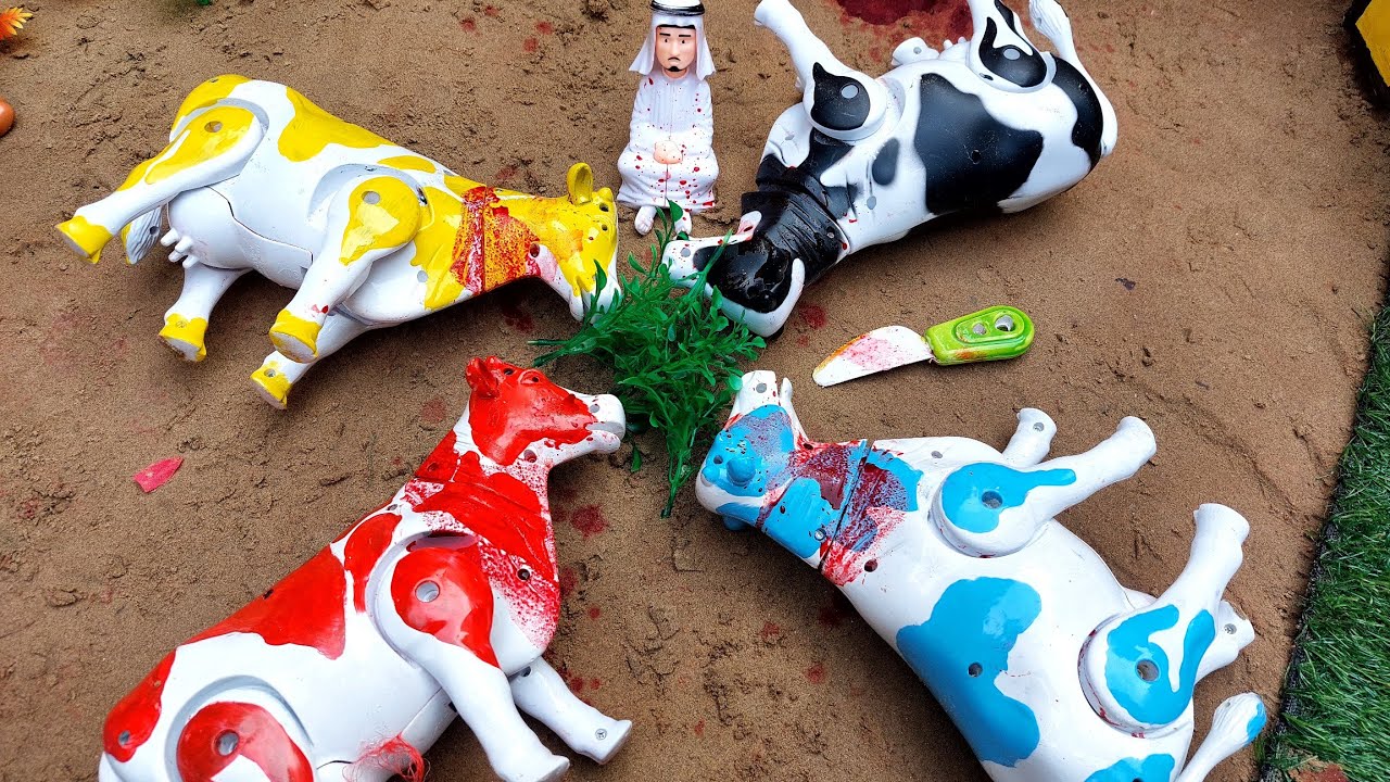 Wadidau !!! Proses Potong Unta/Sapi !!! Truk Oleng Unta !! Part-24 ...