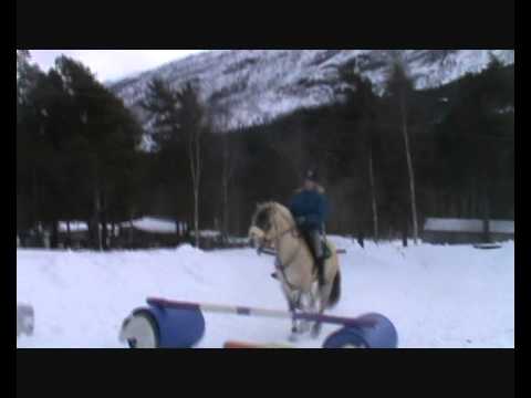 AMAZING - Jumptraining Larris &Gråtussa