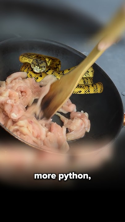 Farming SNAKES for Food?!? - YouTube