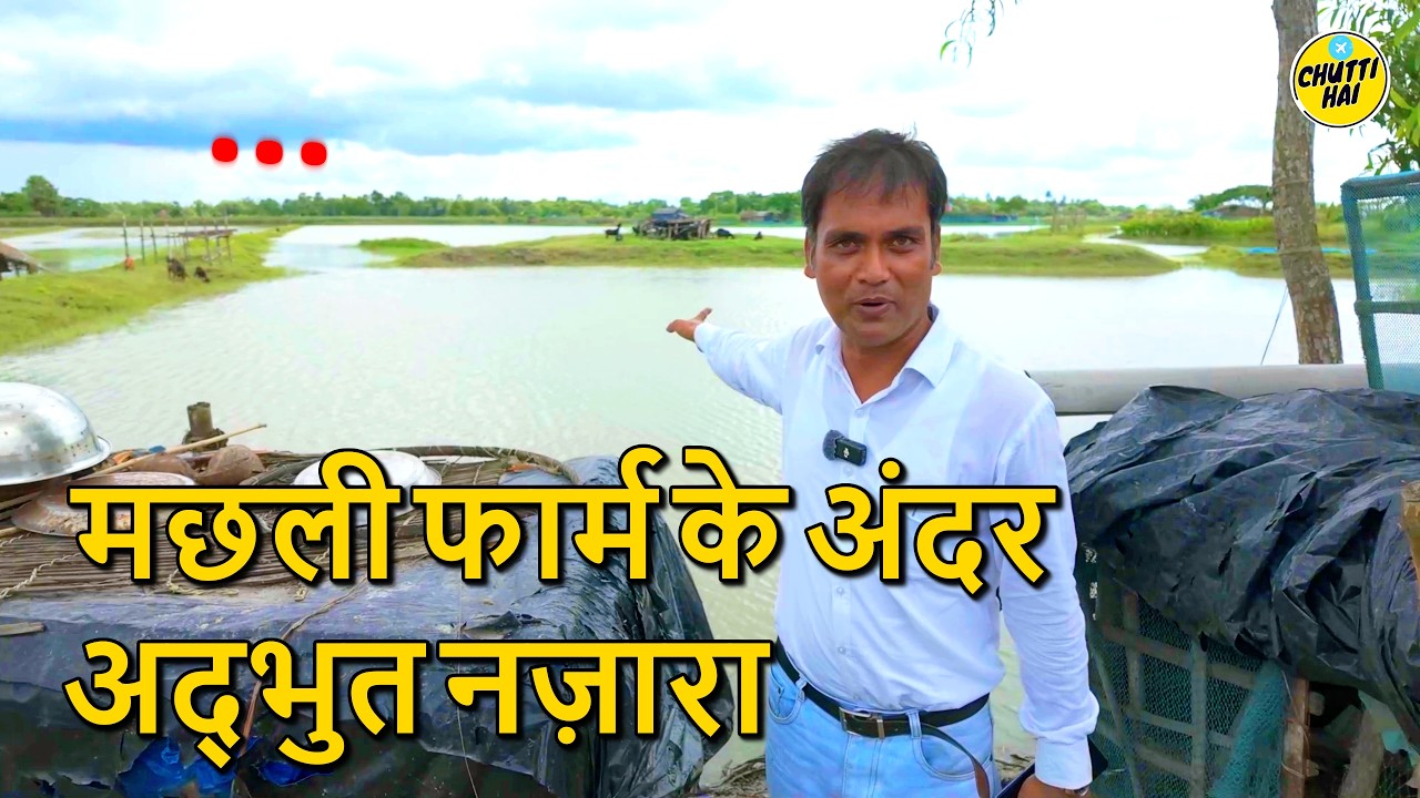 Inside West Bengal's Incredible Fish Farm! | Village Life - YouTube