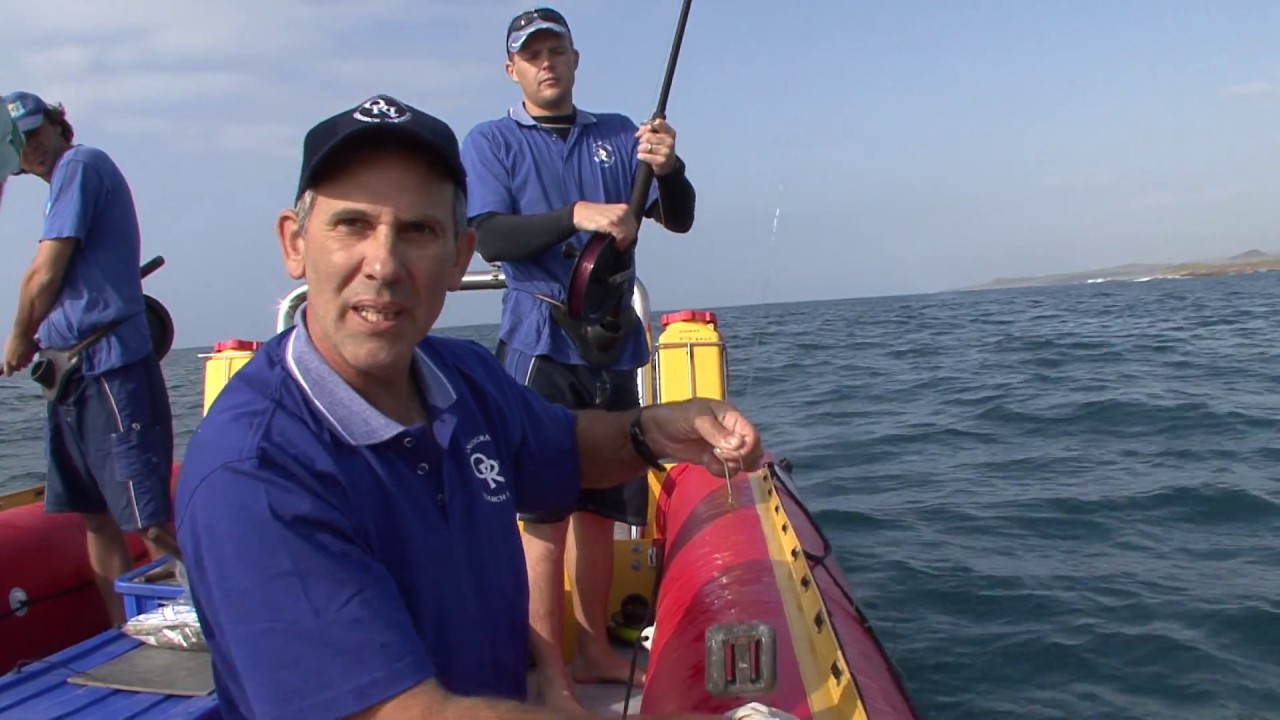 08 Handling and Tagging a FISH (Boat) - ORI’s Cooperative Fish Tagging ...