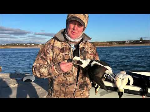 Cape Cod Sea Duck Hunt