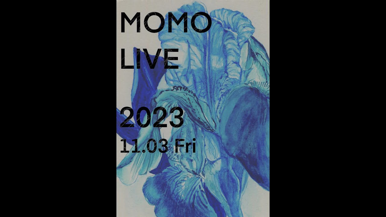 Momo LIVE 2023 - YouTube