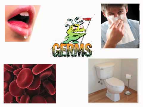 How can we prevent germs from spreading - YouTube