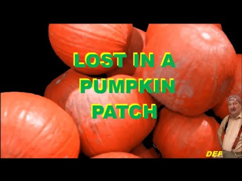 LOST IN A PUMPKIN PATCH - YouTube