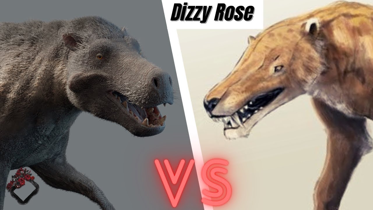 Daeodon Vs Andrewsarchus