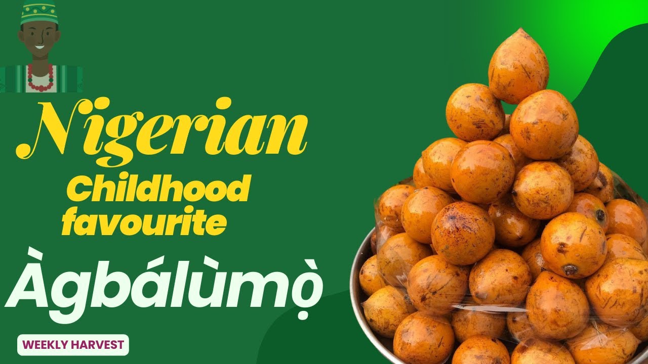 Agbalumo (African Star Apple): From Nostalgia to Nutrition - YouTube