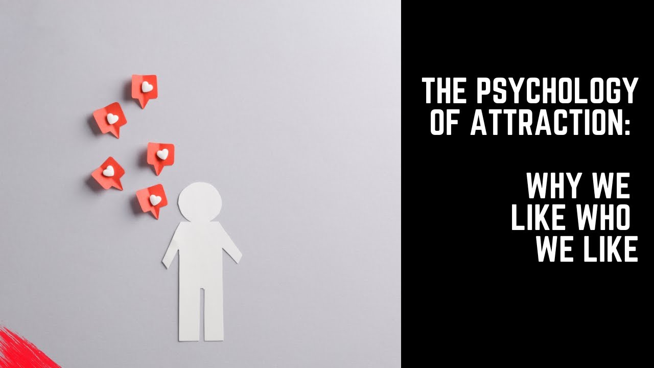 The Psychology of Attraction: Why We Like Who We Like - YouTube