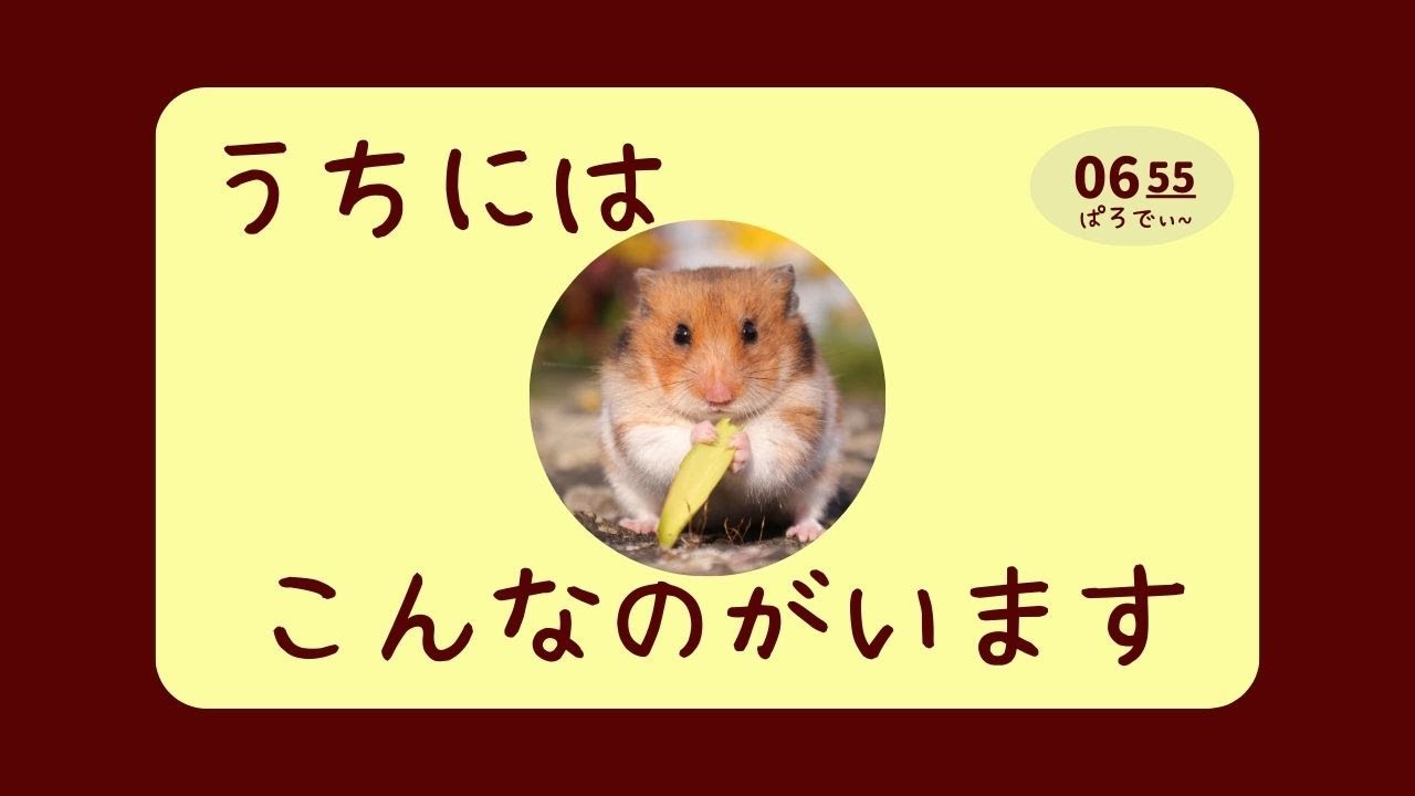 Eテレ 0655 『うちには、こんなのがいます』 🐹ハムスター編 0655パロディー😍 Youtube