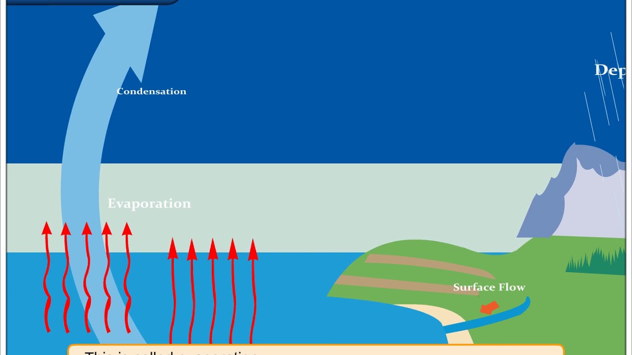 Water Cycle | Environmental Studies Class 3 - YouTube