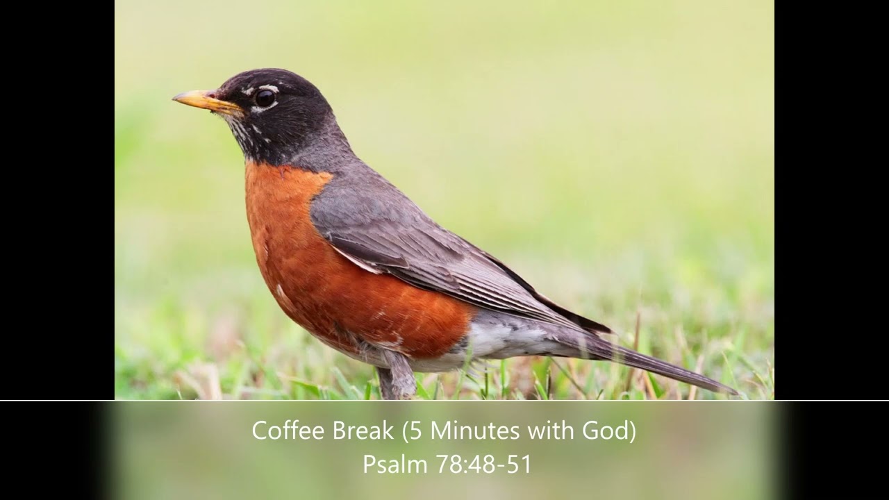 Coffee Break (5 Minutes with God) Psalm 78:52-56 - Psalm 78:52-56 ...
