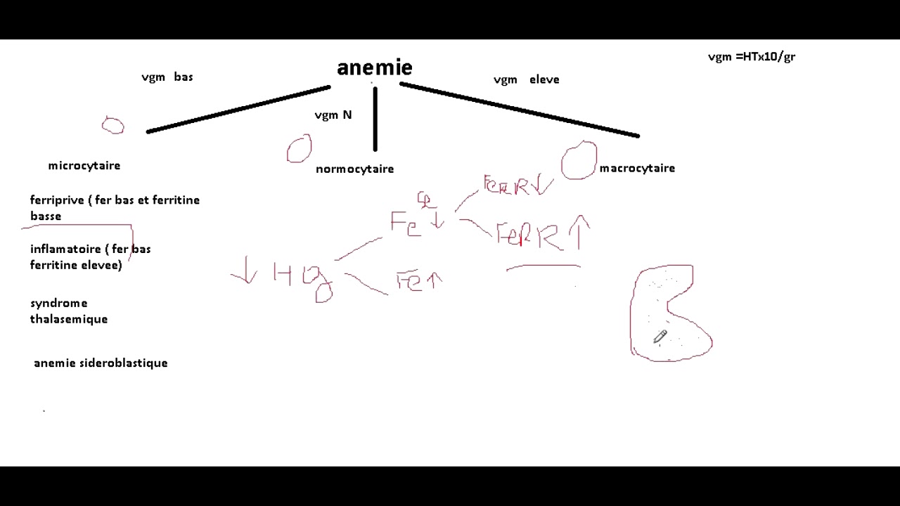 cours d'anémie partie 1 (microcytaire) - YouTube
