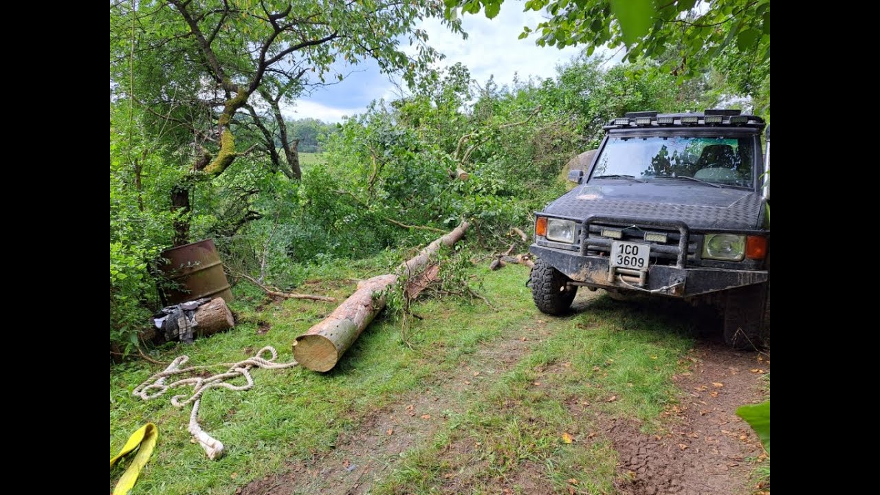 Land Rover Discovery 1 300tdi - vyproštění padlého stromu / towing of a ...